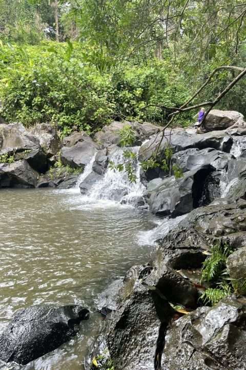 7 Best Oahu Waterfall Hikes for an Unforgettable Experience